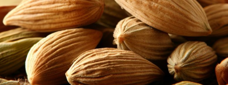 Conheça o Cardamomo: Uma Especiaria Repleta de Sabor e Benefícios ...